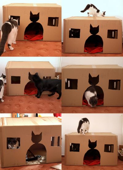 DIY Cardboard Box Cat House Craft « Darlene Michaud
