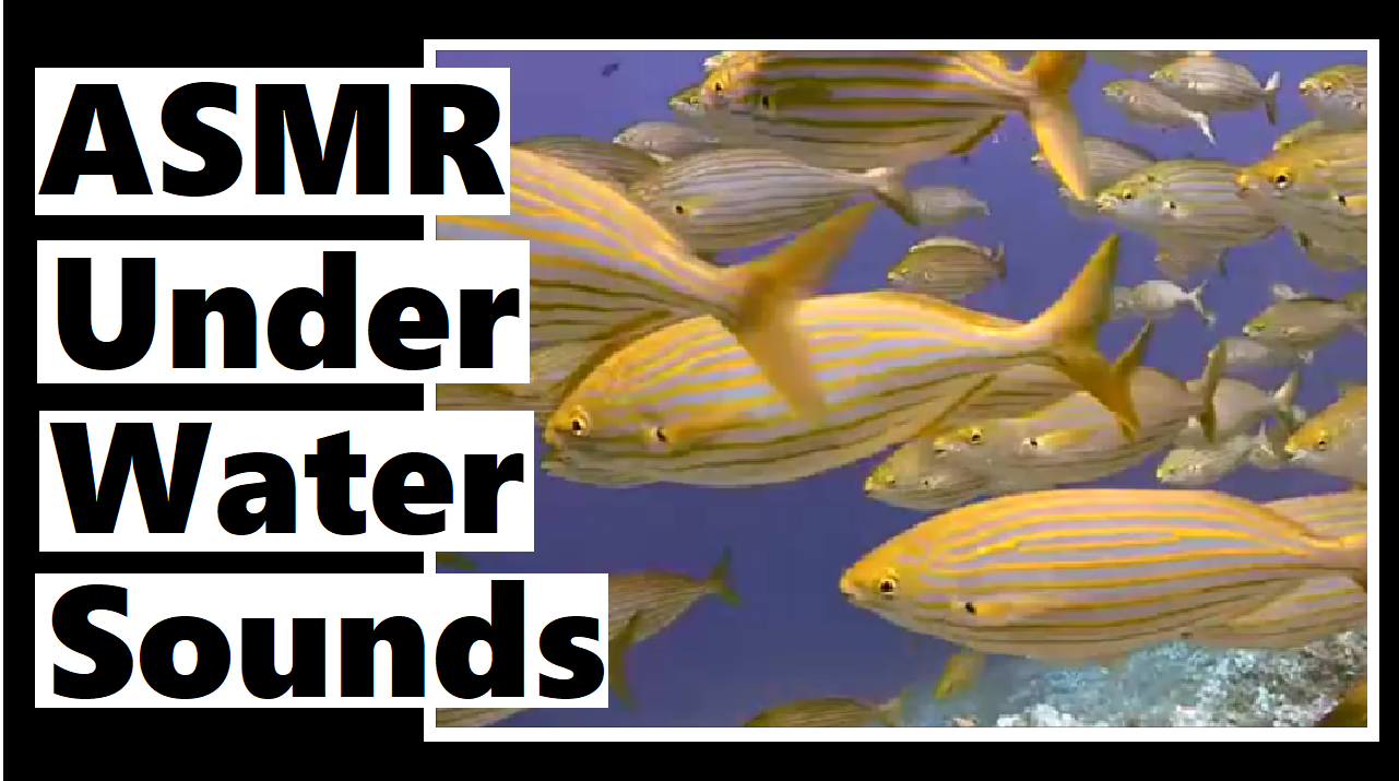 ASMR Underwater Sounds for Sleep or Relaxation with Video Clips of Deep ...