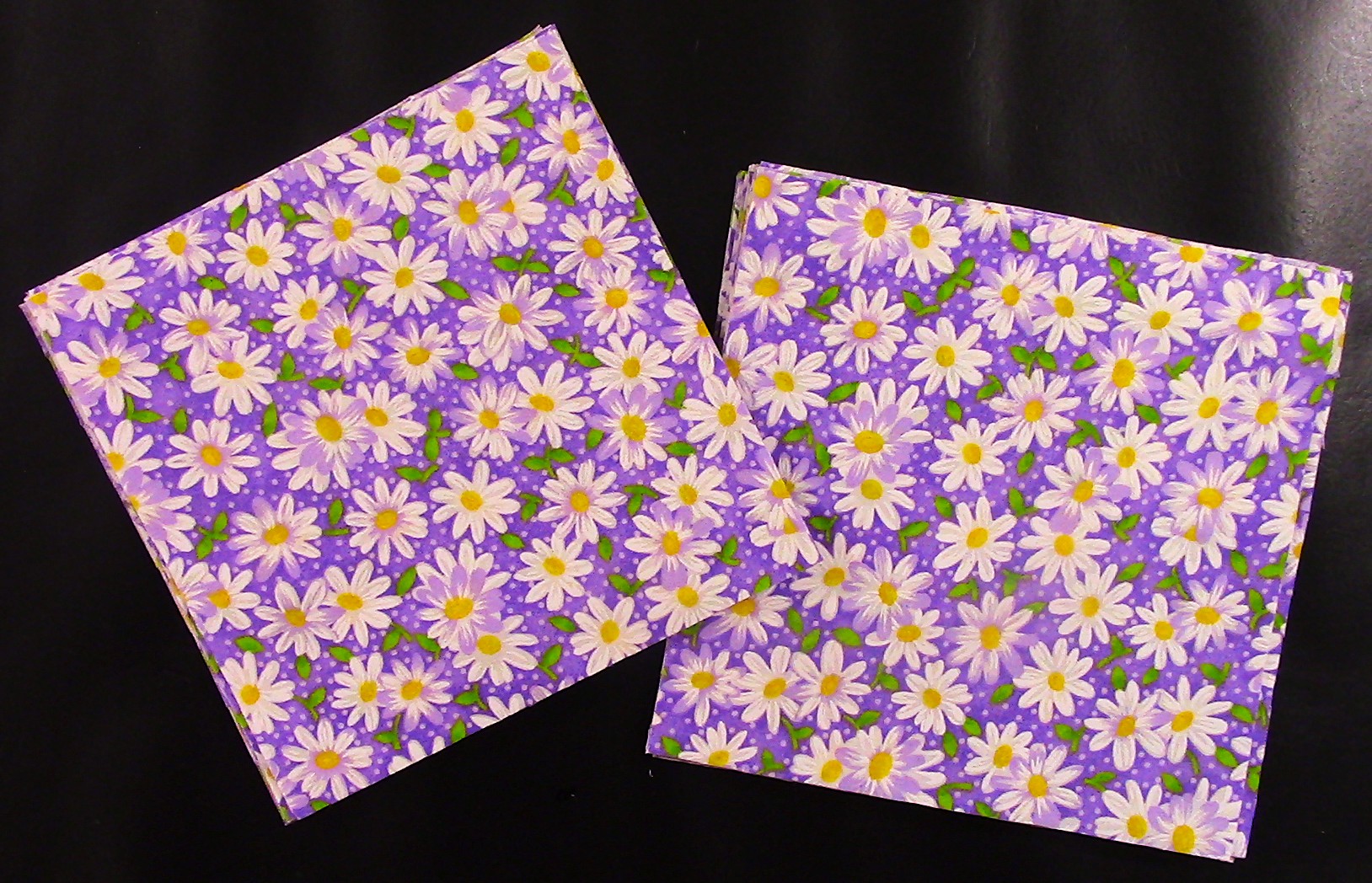 2025 « Darlene Michaud